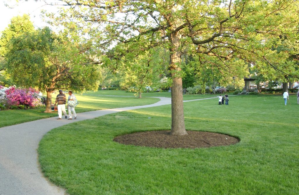 Azalea Gardens