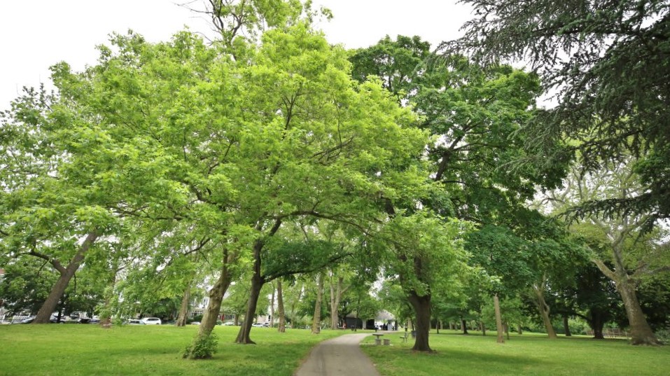 Fernhill Park – Fairmount Park Conservancy