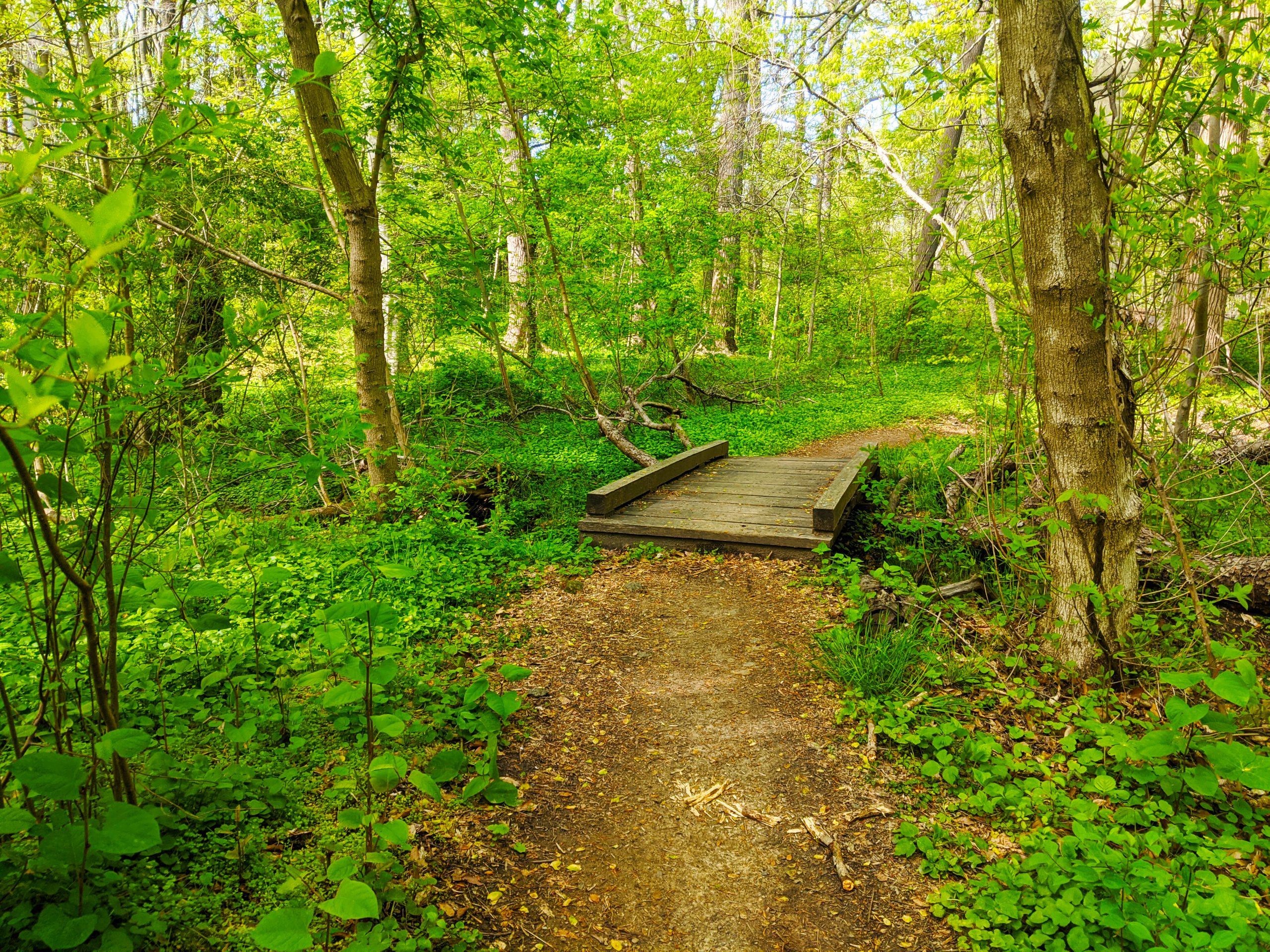 5 ways to discover Fairmount Park this summer – Fairmount Park Conservancy