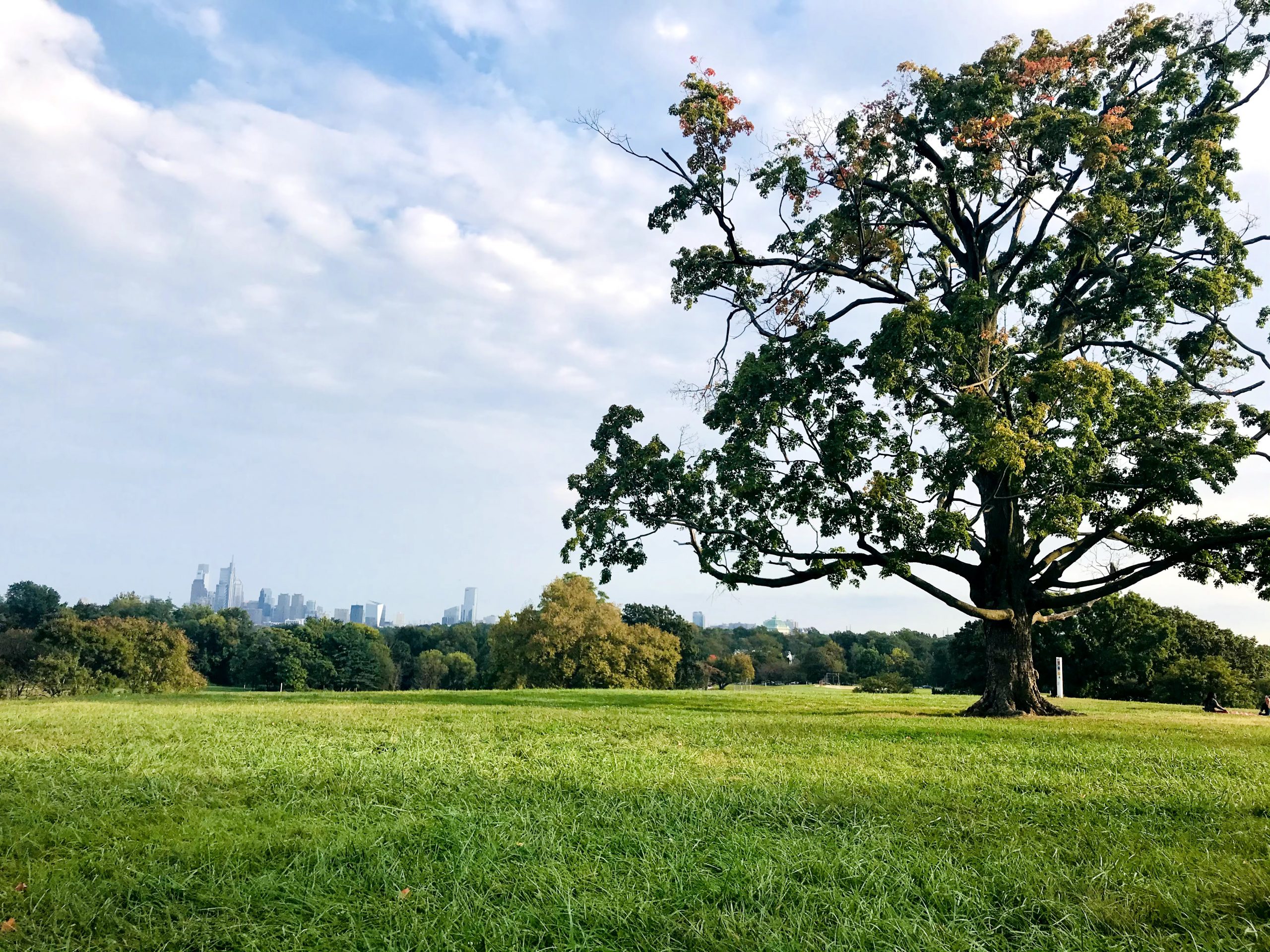 What’s happening in Fairmount Park in 2021: A Recap – Fairmount Park ...
