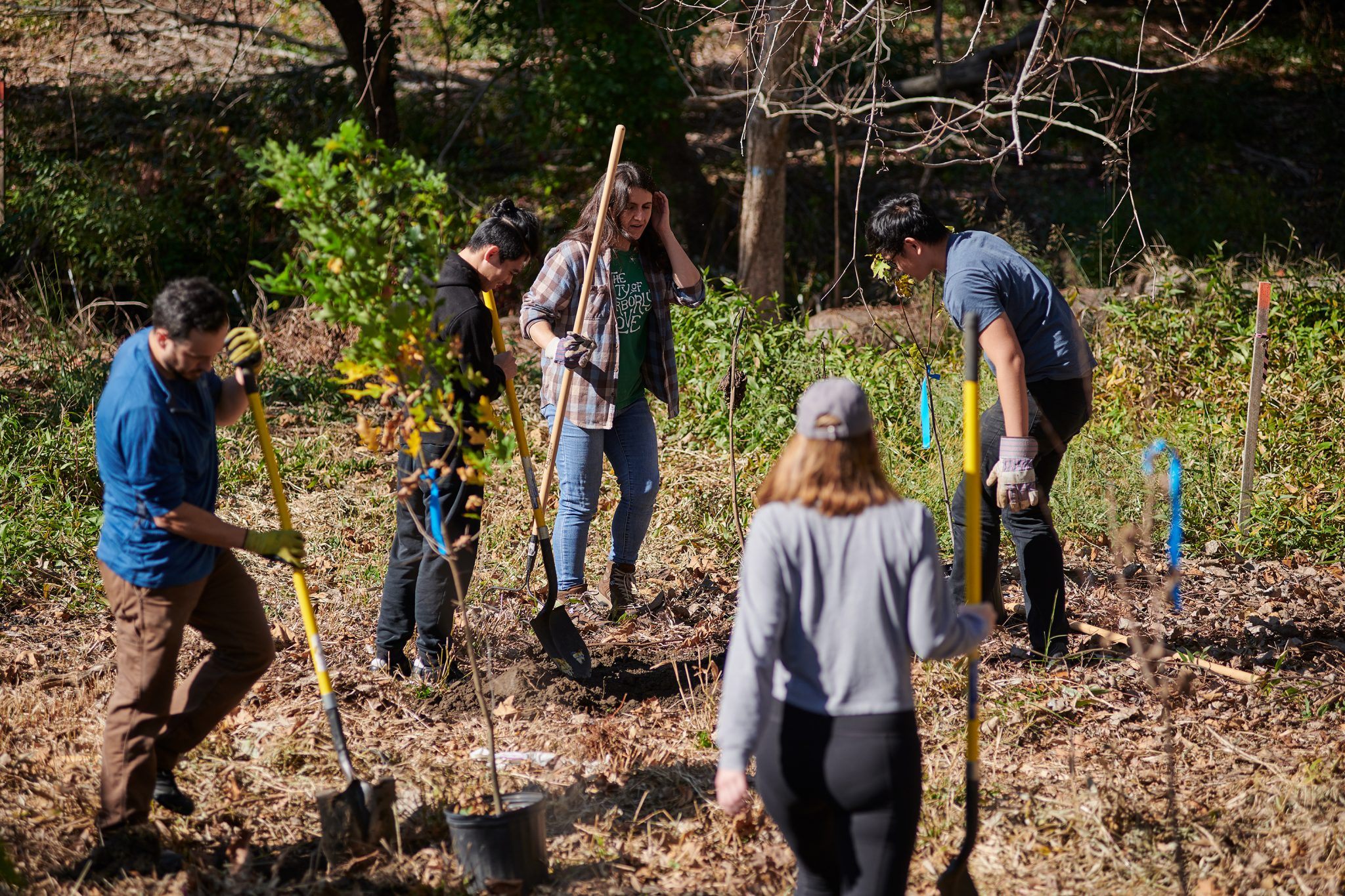 We're planting more than 1,000 trees in Philly parks this fall ...