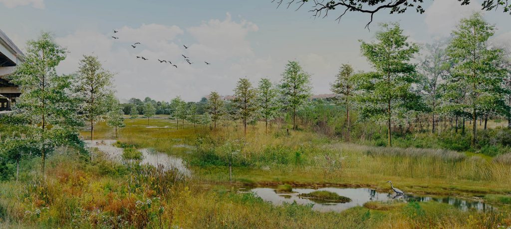 FDR Park Plan – Fairmount Park Conservancy