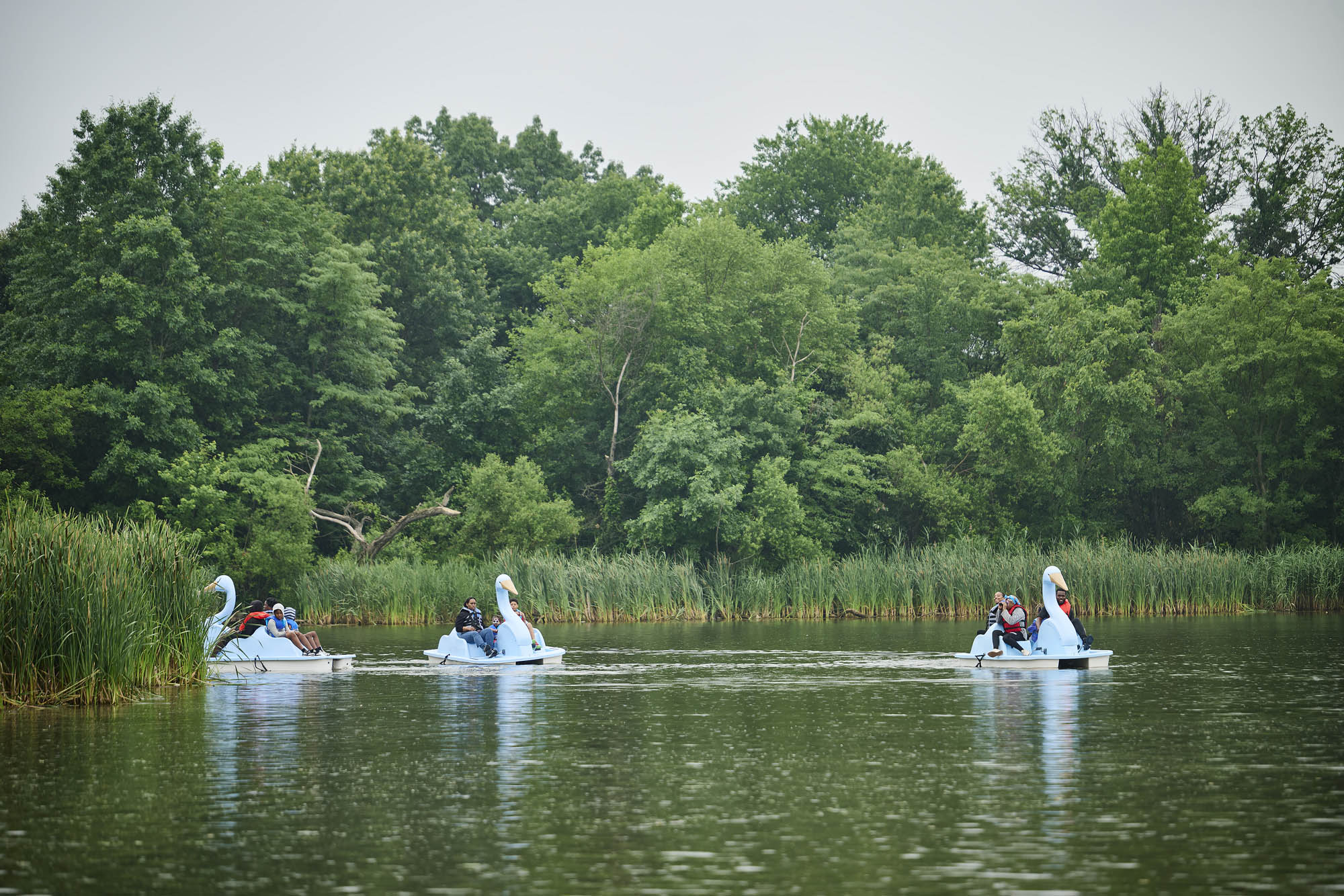 Thank you! – Fairmount Park Conservancy