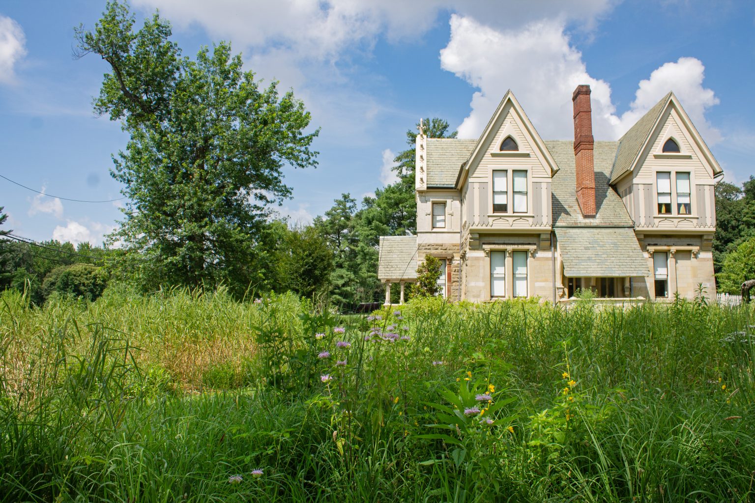 Building a Sustainable Future: How Philadelphia’s Parks Are Shaping ...